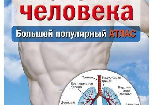 Анатомия человека. Большой популярный атлас