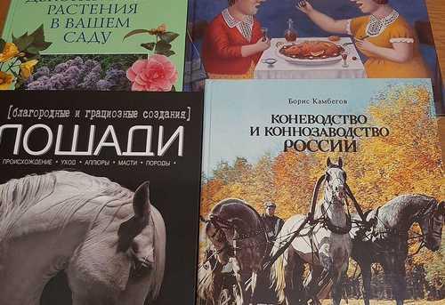 Книги и альбомы