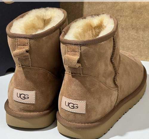 Ugg Mens Classic Mini II Chestnut