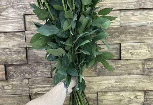 Высокие статные розы для девушки от 80 см роза