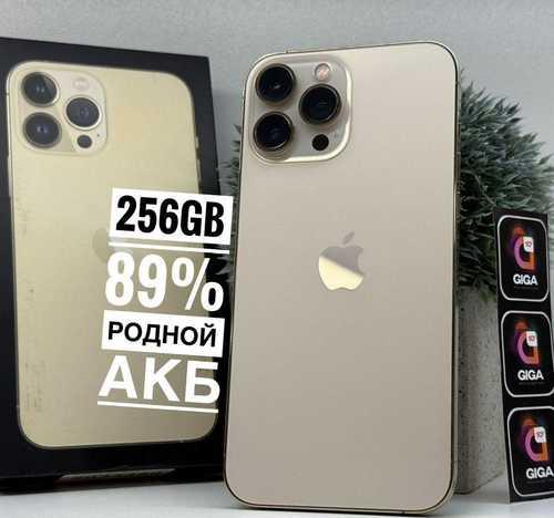 iPhone 13 Pro Max, 256 ГБ