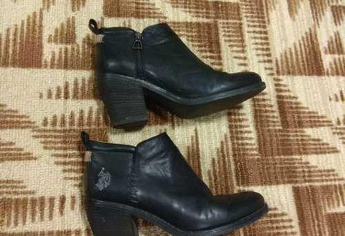 Казаки ботинки u.s.polo assn кожа нат.38-39