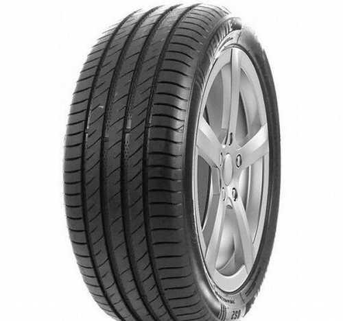 Delinte DS2 225/60 R16