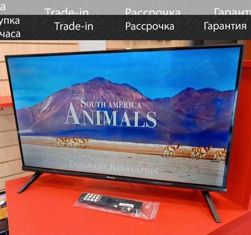 Телевизор Hisense 32A4N