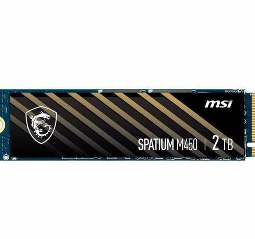 Внутренний жесткий диск MSI spatium M450 689416