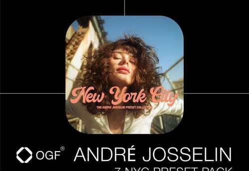 Пресеты Andre Josselin NYC 2024