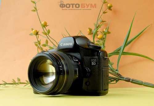 Canon 5D body + Canon EF 85mm f1.8 USM