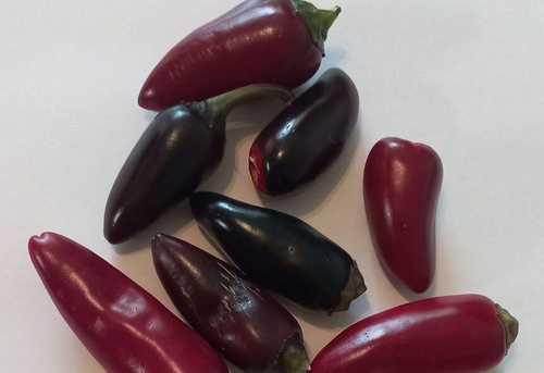 Семена Халапеньо черный и красный