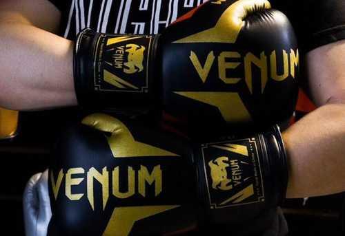 Боксерские перчатки Venum PU Red Gold