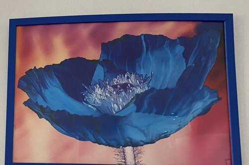 Картина постер IKEA синий цветок