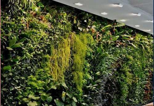 Создайте атмосферу свежести с вертикальным озелене