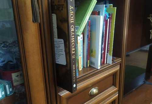 Шкаф для книг и телевизора в кабинет