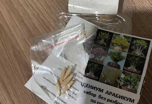 Семена адениума арабикума