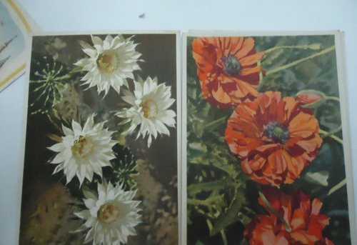 Антикварные немецкие открытки