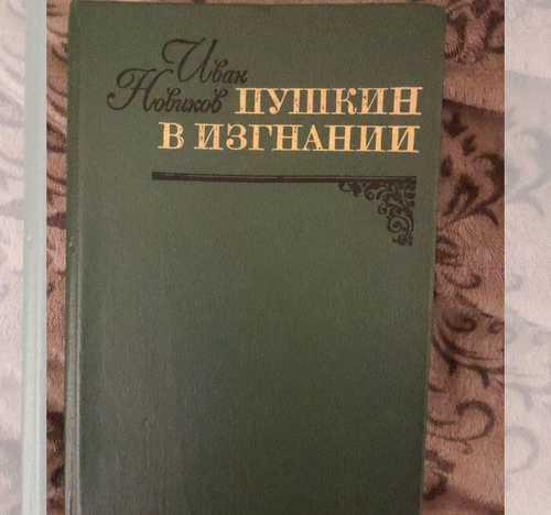 Иван Новиков Пушкин в изгнании