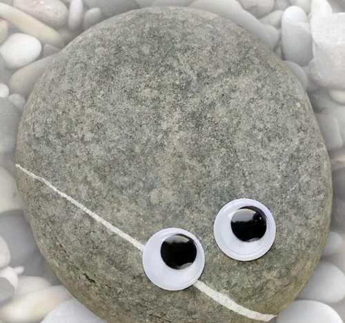 Камень питомец