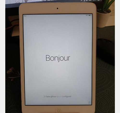 iPad mini 1
