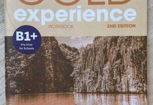 Gold experience B1+ workbook