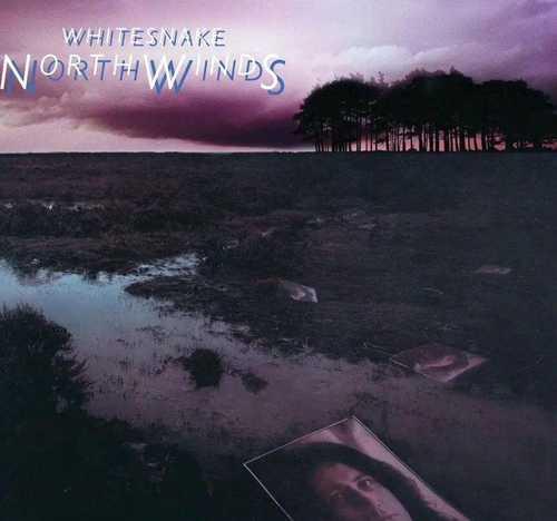 Виниловая пластинка Whitesnake - Northwinds (Black Ice Limited LP)