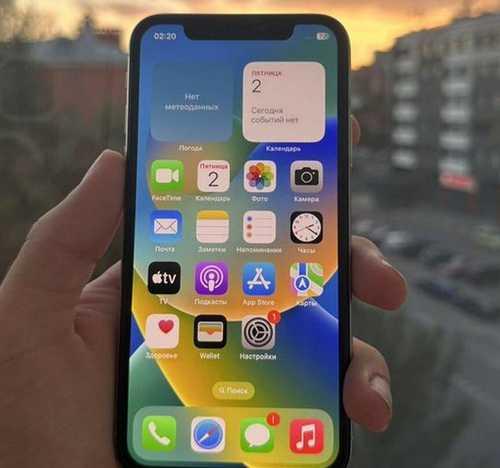 iPhone X, 256 ГБ