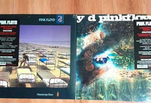 Momentary lapse OF reason / saurceful OF secrets