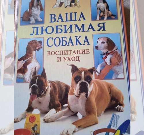 Ваша любимая собака. Воспитание и уход Иванова А