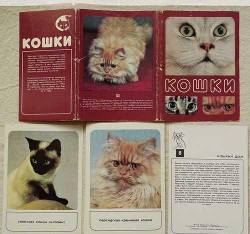 Неполный комплект открыток "Кошки", 1989