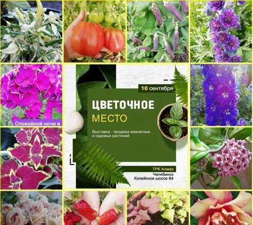 Выставка растений в Челябинске 10 сентября