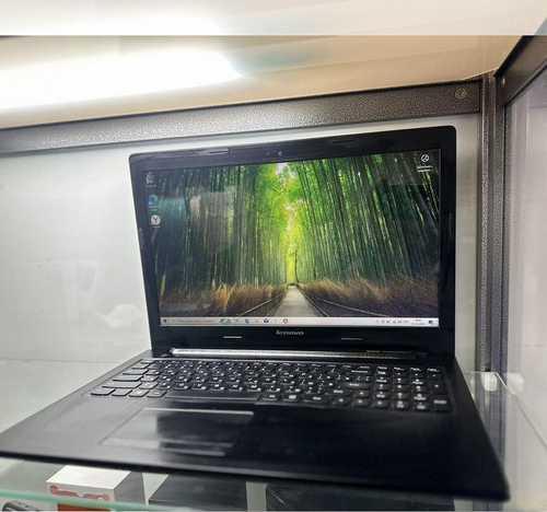 Ноутбук Lenovo g505s