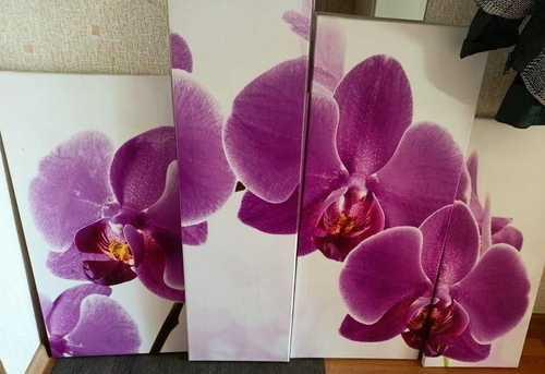 Орхидея. Картина модульная. Панно