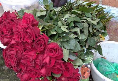 Живые цветы букеты розы нет доставки