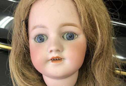 Антикварная кукла - голова Simon Halbig550