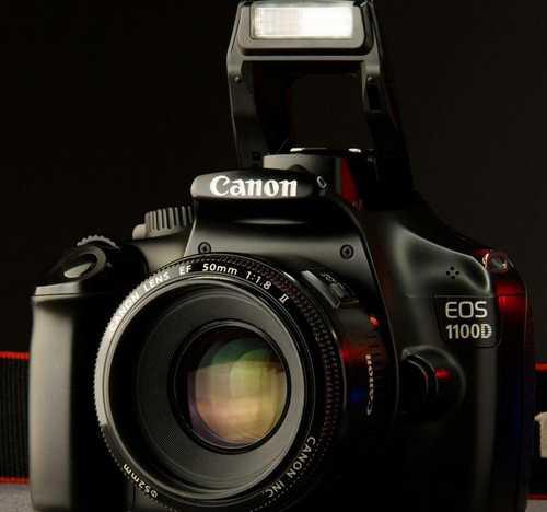 Canon 1100D   50mm 1.8 II