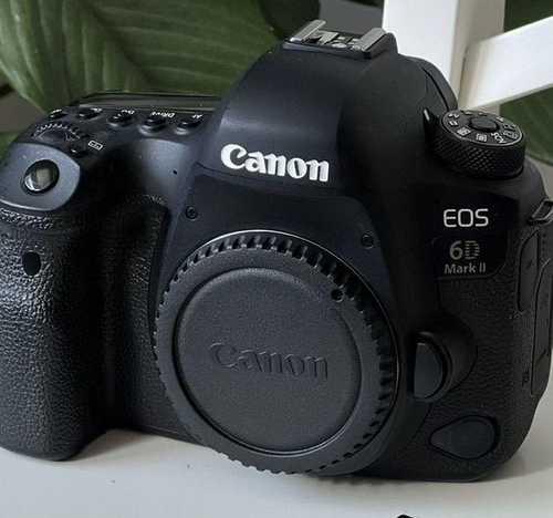 Фотоаппарат Canon eos 6d mark ii