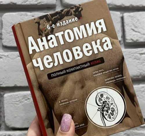 Атлас «Анатомия человека» 6-е издание