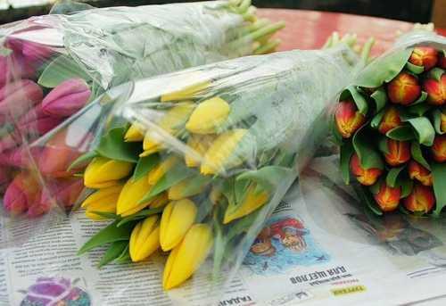 Цветы,тюльпаны, букеты, доставка
