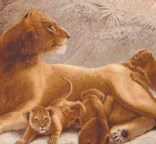 Картина-гобелен "Львица с львятами" в багете