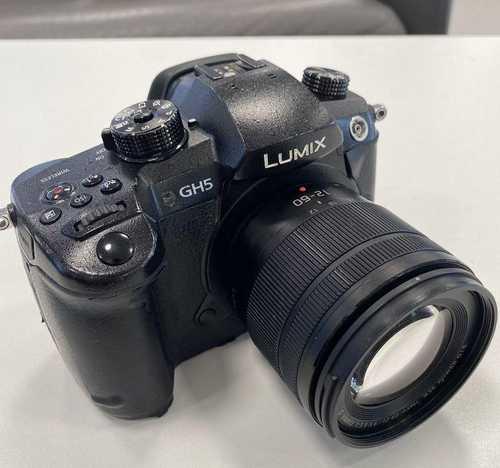 Цифровая фотокамера Panasonic Lumix GH5