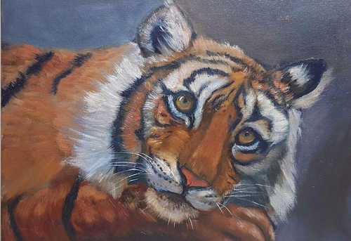 Картина Тигр маслом 40 на 50 см
