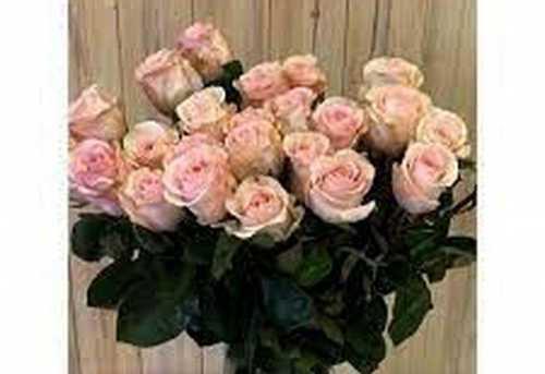 Роза Эквадор 50-80 см Розовые монобукеты