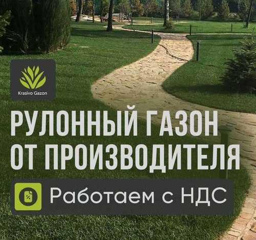 Натуральный газон для плодородной почвы