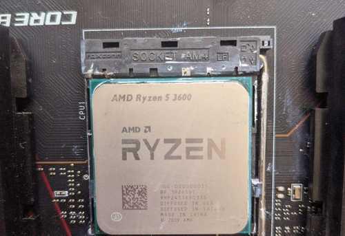 Процессор AMD Ryzen 5 3600