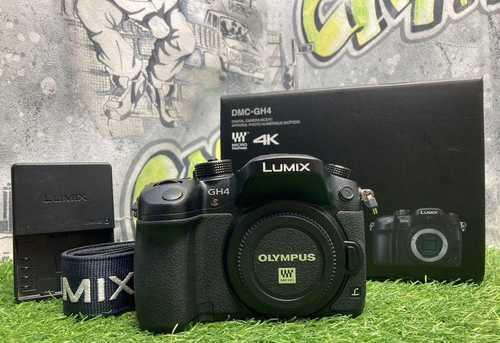 Panasonic Lumix DMC-GH4 250 кадров