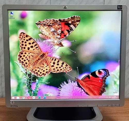 ЖК монитор HP L1950g с поворотом экрана 19" (48.3