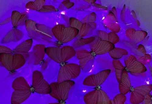 Волшебный светящейся букет из бабочек