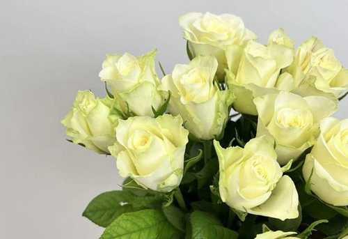 Розы белые букет белых роз 15 шт