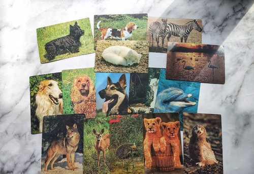 Советские открытки с животными 15 шт