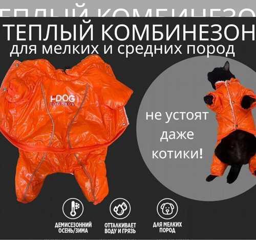 Одежда для собак