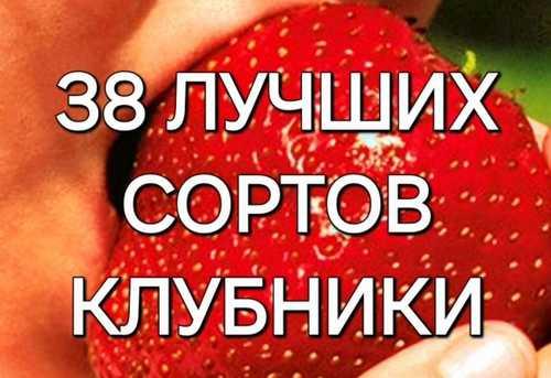 Клубника З8 Лучших сортов Сладкая Крупная до 3О см