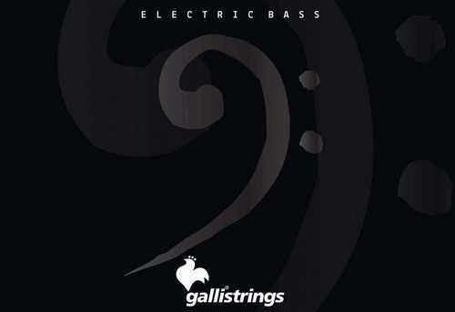Струны для бас гитары Galli Strings BSN50110